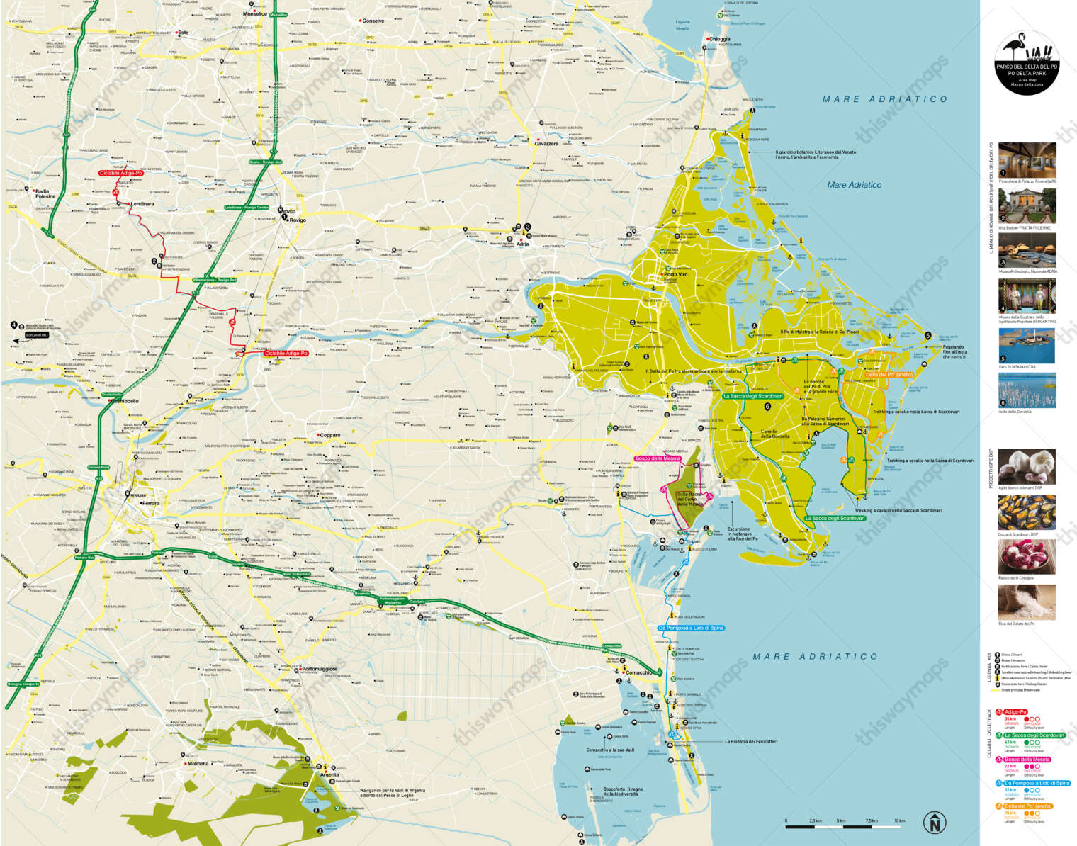 Mappa del Delta del Po - thiswaymaps mappe personalizzate e vettoriali ...